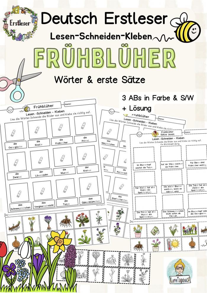Lerntagebuch - Leseübung Frühblüher 1. Klasse, 2. Klasse, Förderschule