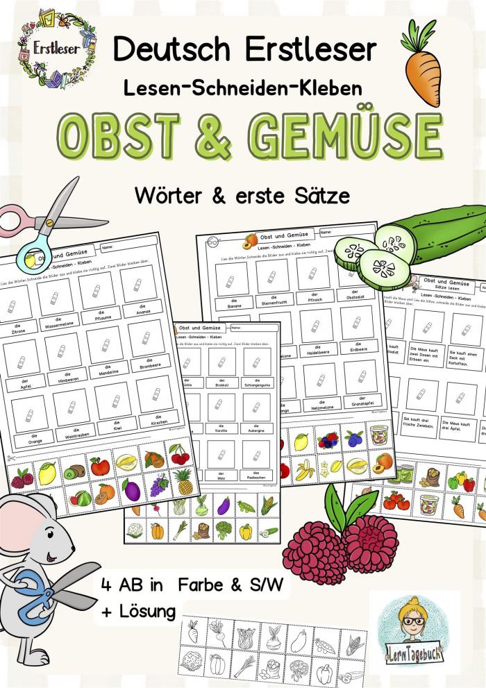 Lerntagebuch - Leseübung zum Lesenlernen 1.Klasse, DaZ Wortschatz Obst ...