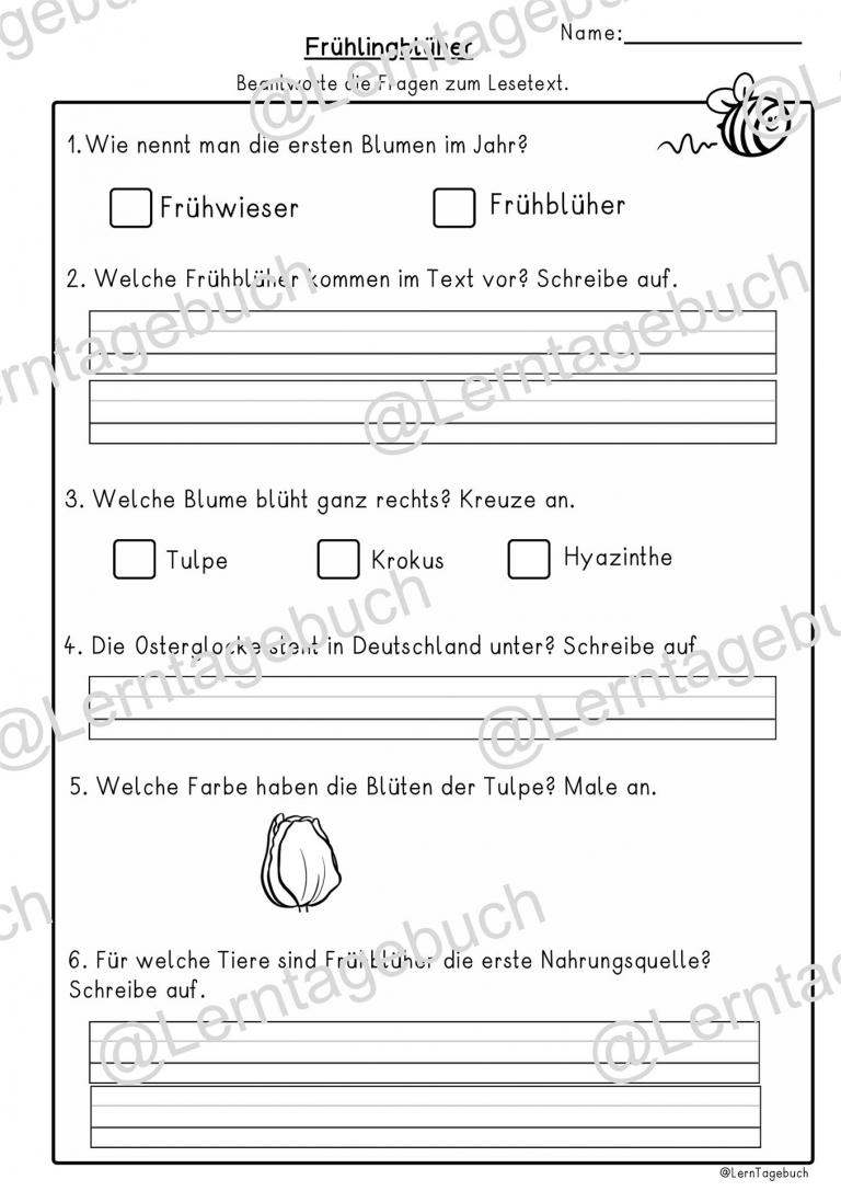 Lerntagebuch - Lesen und Malen Frühblüher (differenziert)