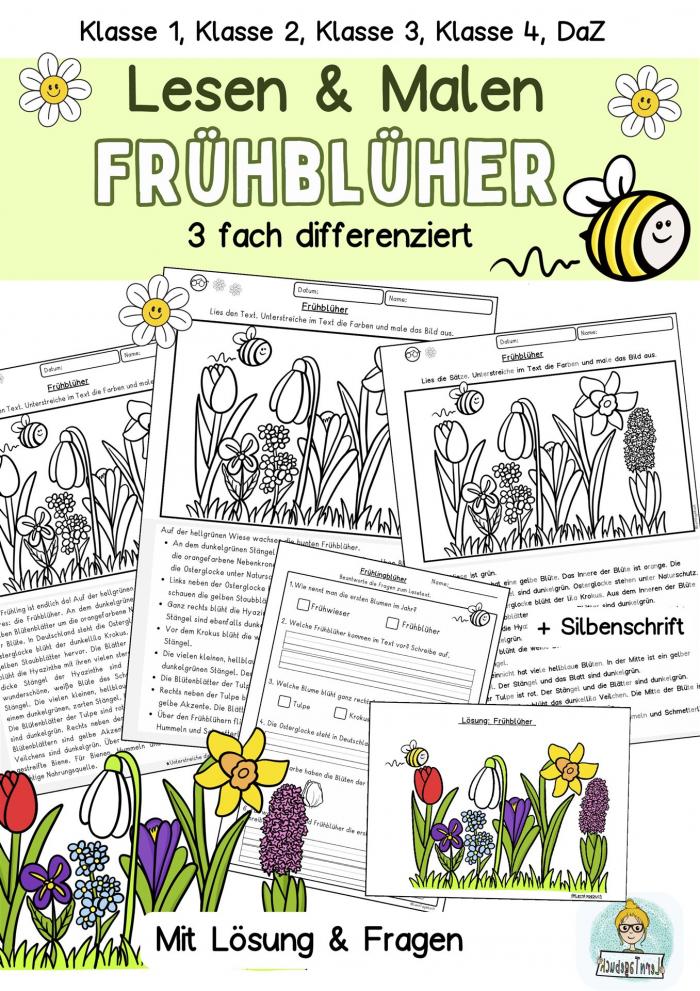 Lerntagebuch - Lesen und Malen Frühblüher (differenziert)