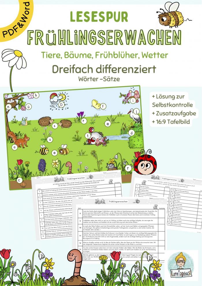 Lerntagebuch - Lesespur Frühlingswiese-Tiere und Frühblüher