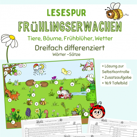 Lerntagebuch - Würfelsätze Frühling 1.Klasse, 2.Klasse