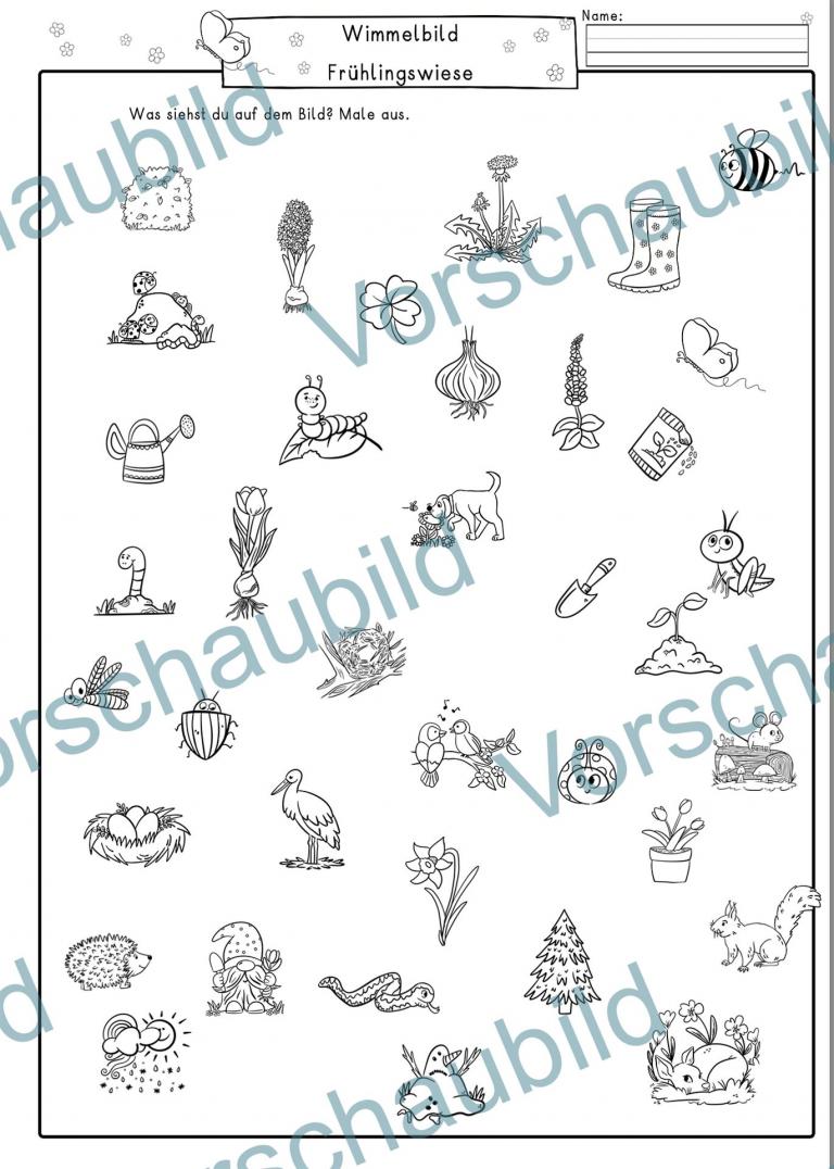 Lerntagebuch - Wimmelbild Frühling, Wiese, Tiere und Frühblüher